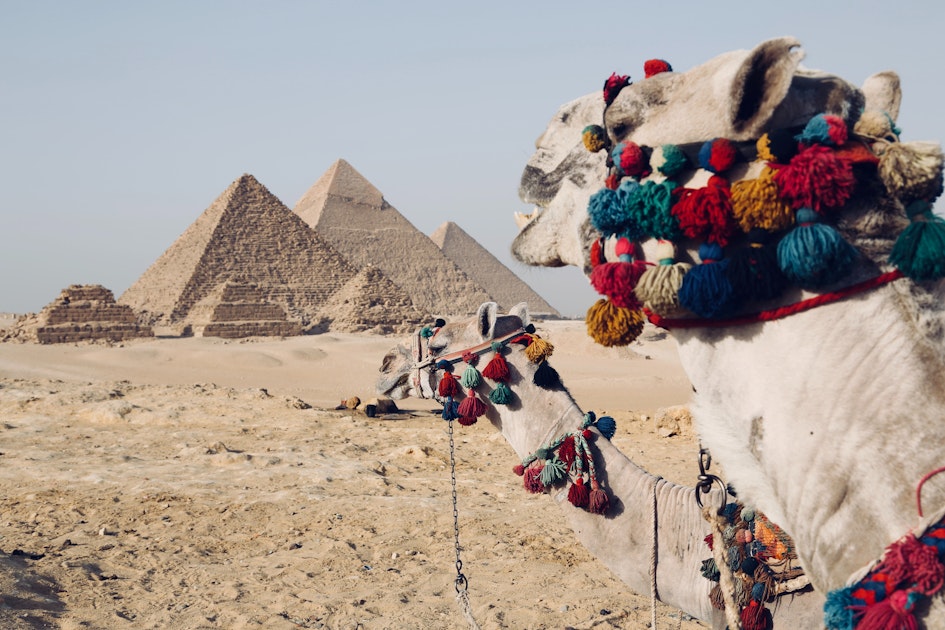 10 Reasons to Go to Egypt | Penguins2PolarBears